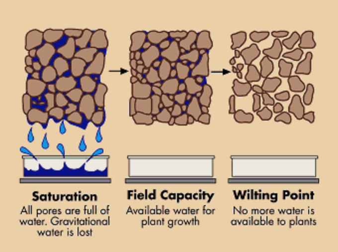 Water Availability & Utilization: How Much Water is Needed and the 4 ...