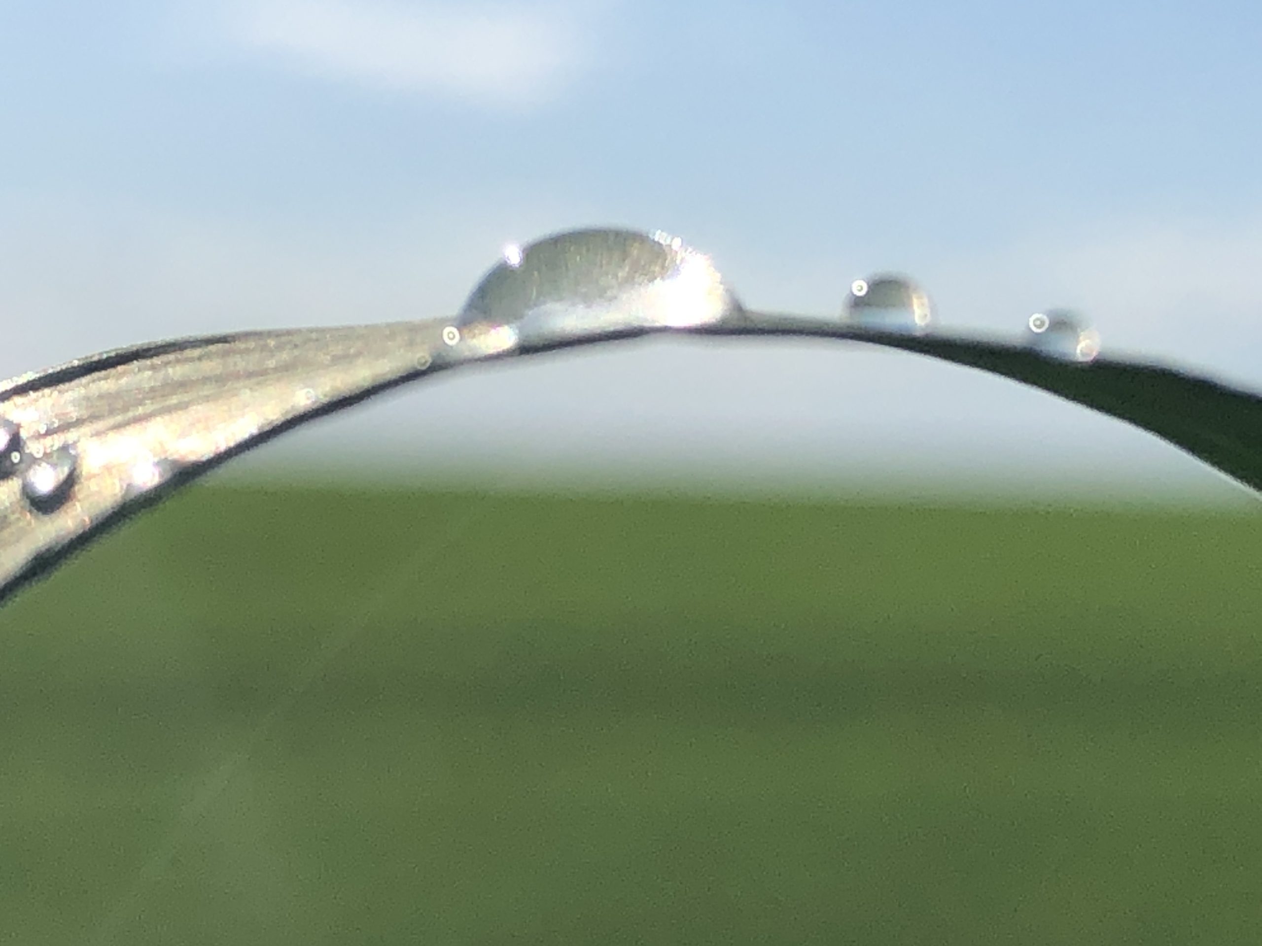 Just How Much Water Does Wheat Need? - Agronomy